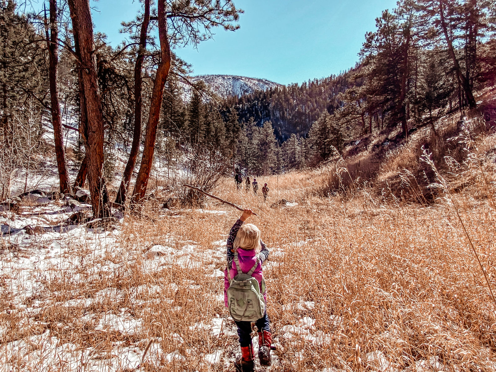 3 Nature Activities for Teaching Contentment | Eryn Lynum Author