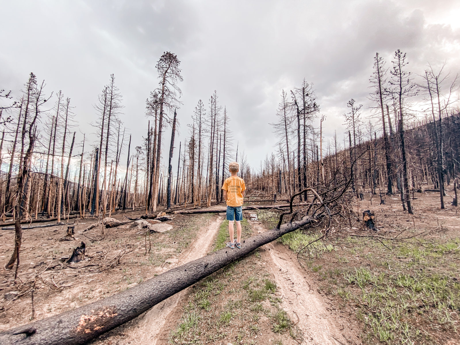 A mother's work endures - Eryn Lynum Author