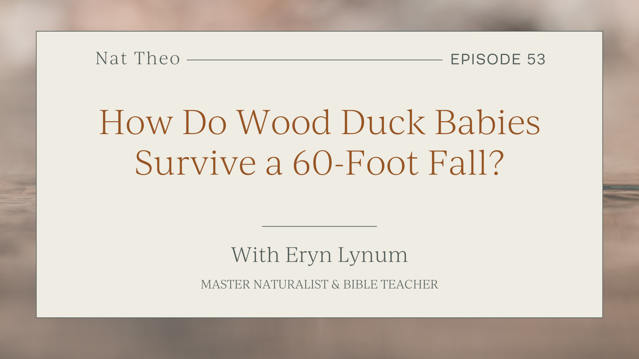 How Do Wood Duck Babies Survive a 60-Foot Fall?