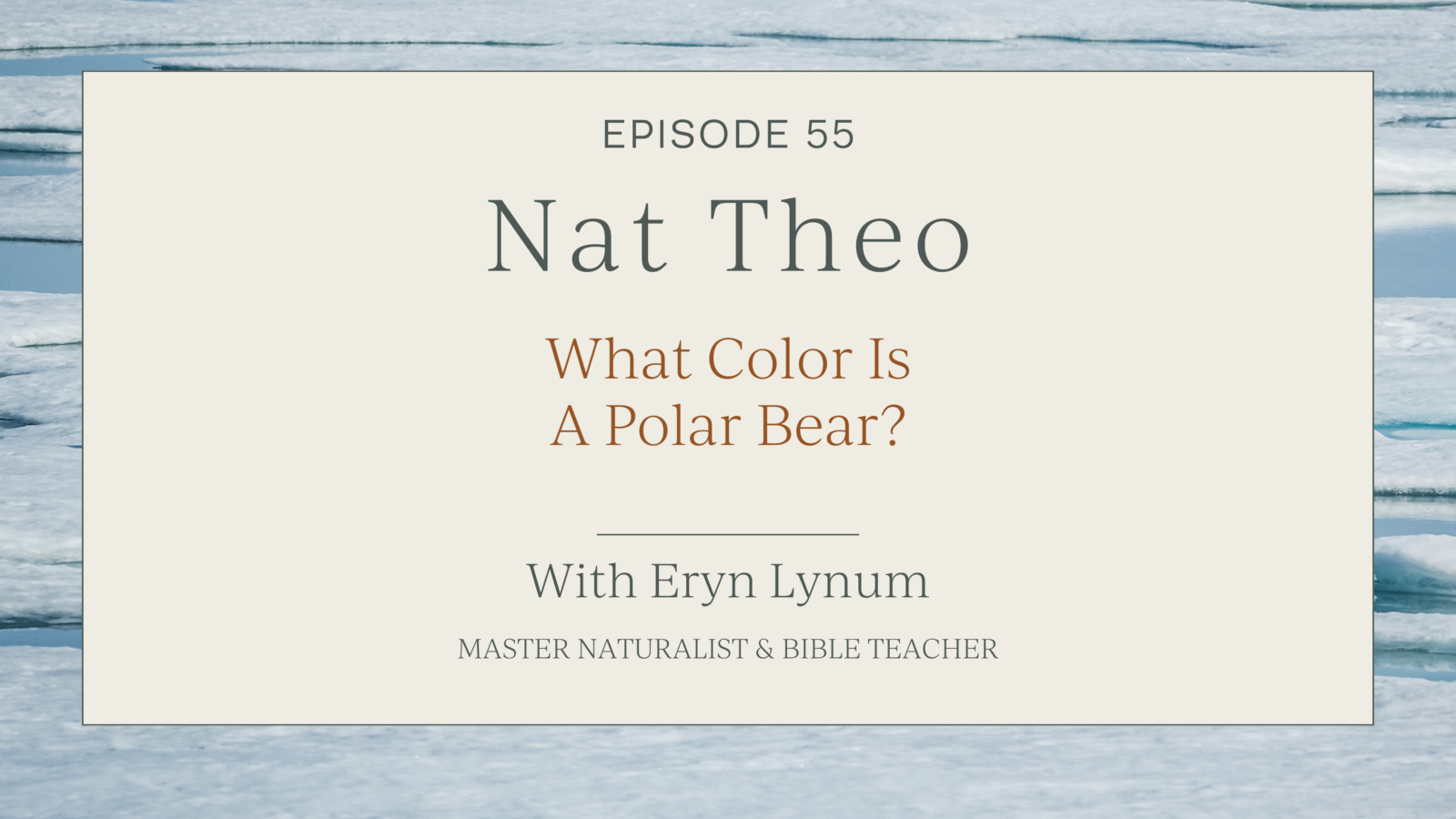 What Color Is a Polar Bear’s Fur? Lessons About Light and Life - Eryn ...