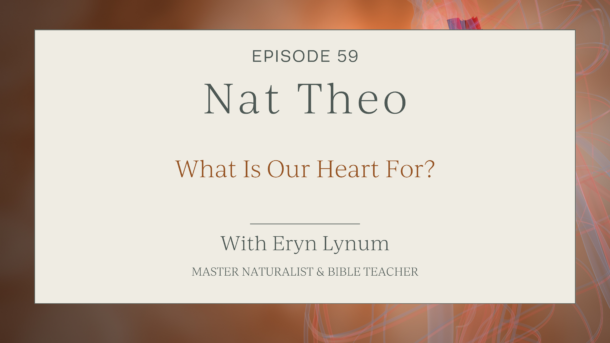 Human Heart Facts for Kids: Exploring God’s Amazing Design