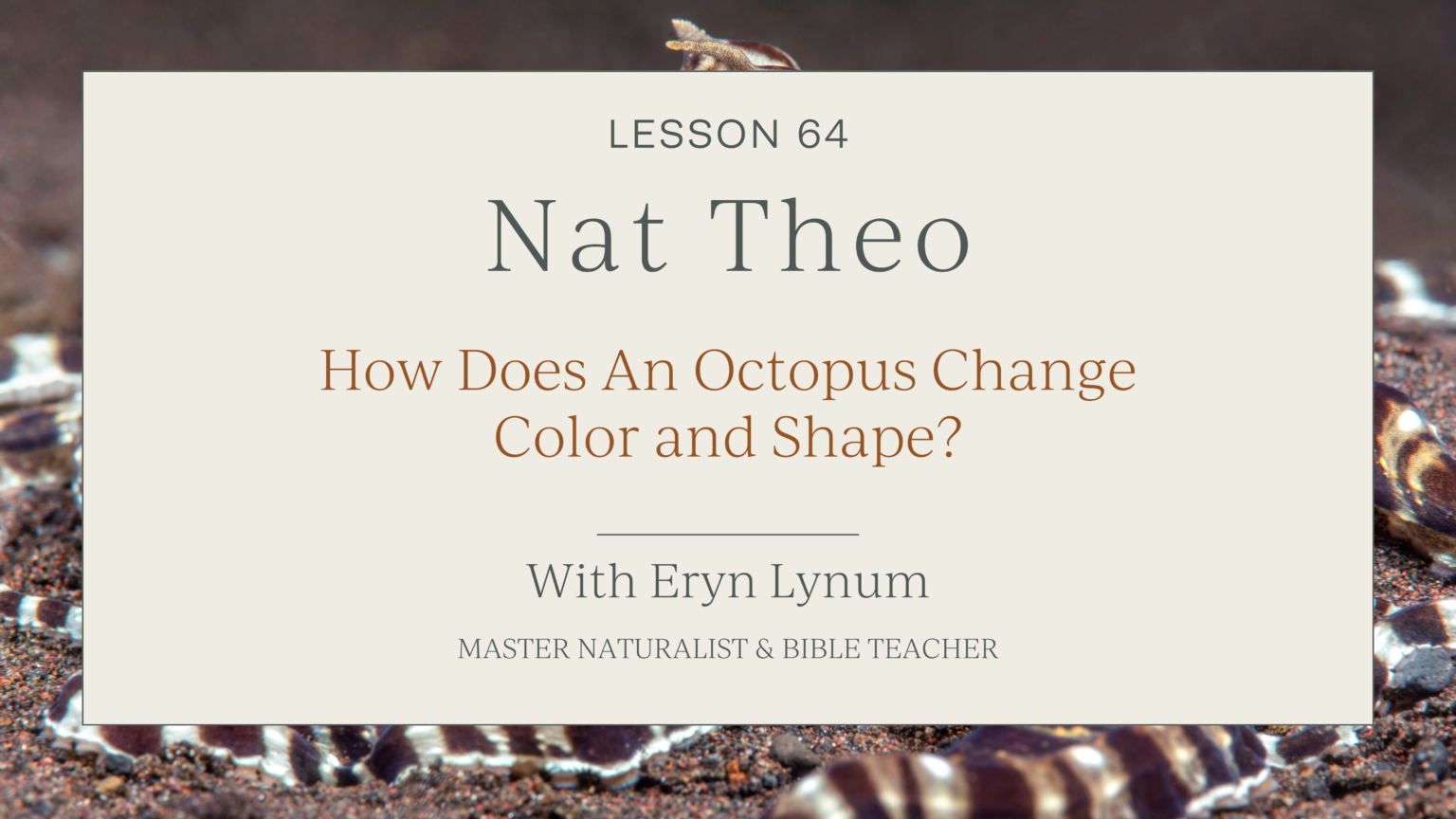 How Do Octopuses Change Color?