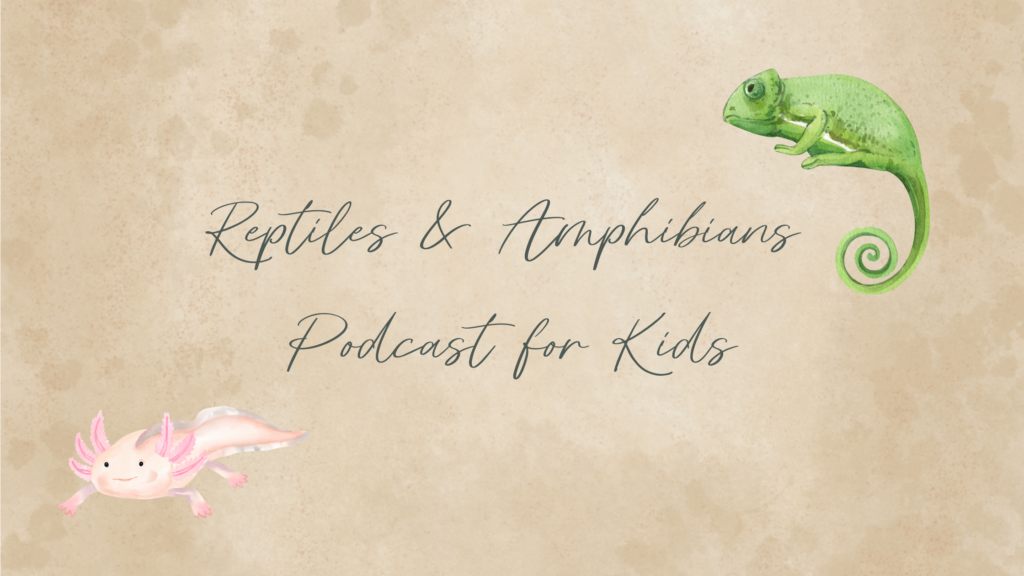 Reptile Facts for Kids