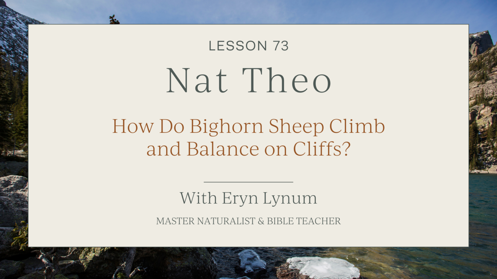 Bighorn Sheep Facts for Kids