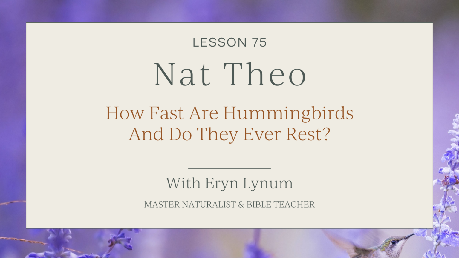 How Fast Can a Hummingbird Fly?