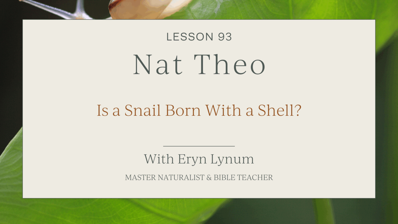 Are Snails Born With Shells?