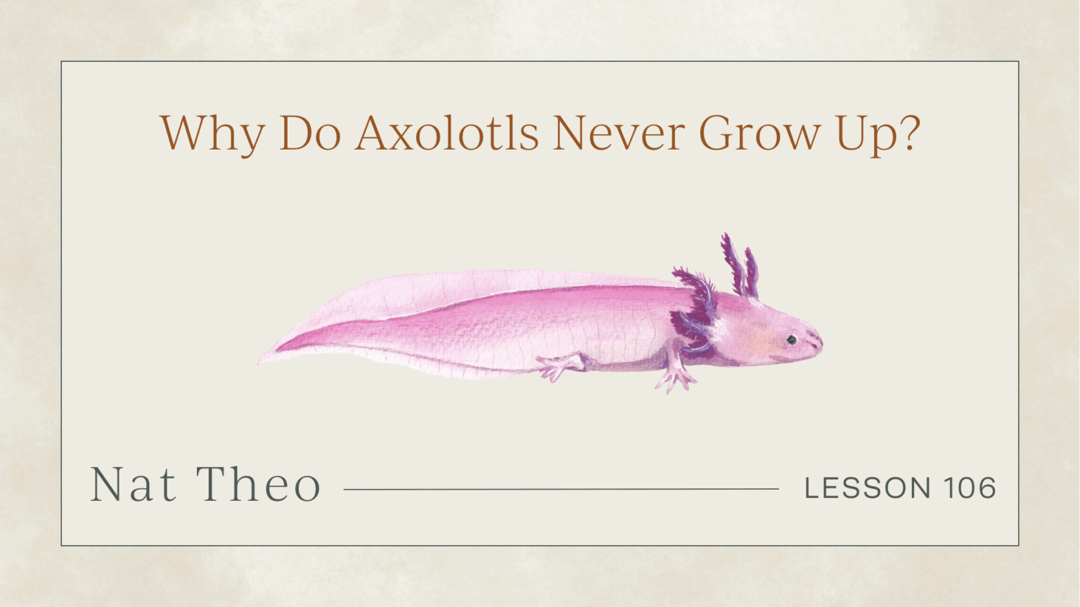 How Does an Axolotl Regrow Body Parts?